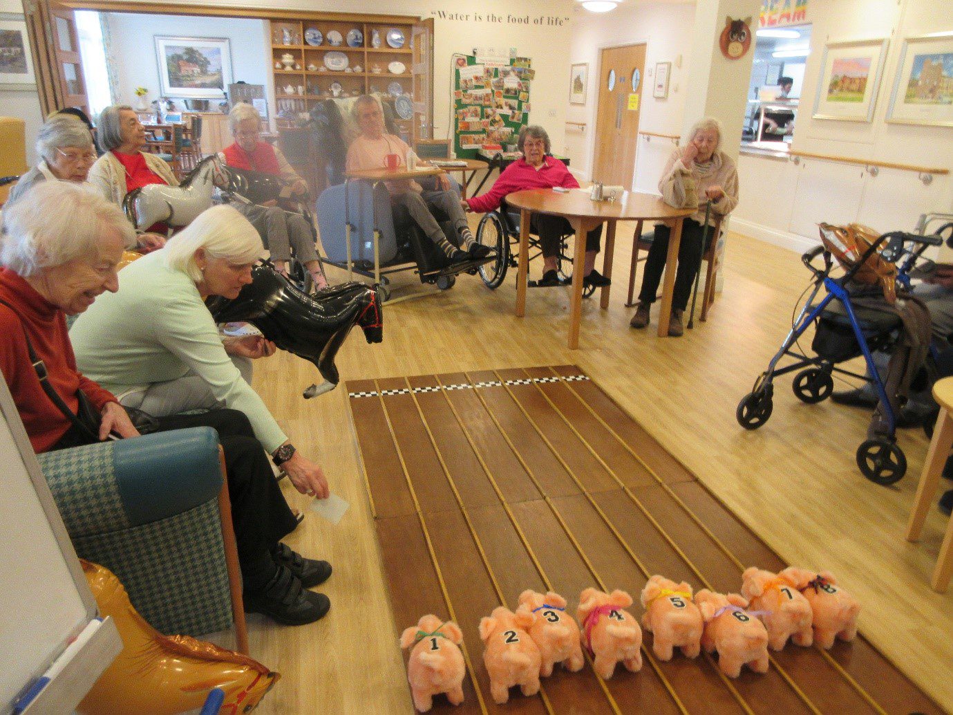 Farnham Mill Goes to the Races - Farnham Mill Nursing & Dementia Home